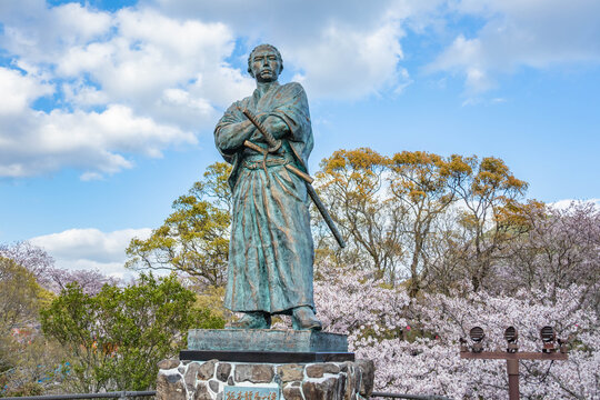 รูปภาพSakamoto – เลือกดูภาพถ่ายสต็อก เวกเตอร์ และวิดีโอ145 | Adobe Stock
