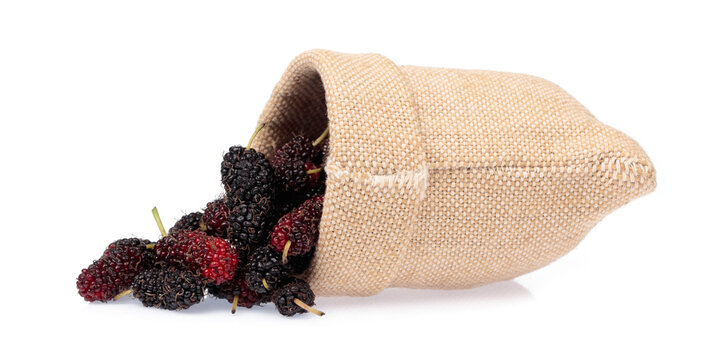 รูปภาพMalberry – เลือกดูภาพถ่ายสต็อก เวกเตอร์ และวิดีโอ156 | Adobe Stock