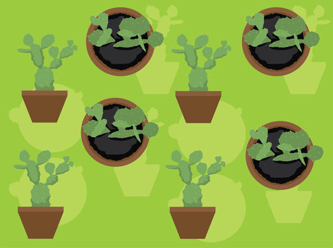 รูปภาพCuija – เลือกดูภาพถ่ายสต็อก เวกเตอร์ และวิดีโอ90 | Adobe Stock