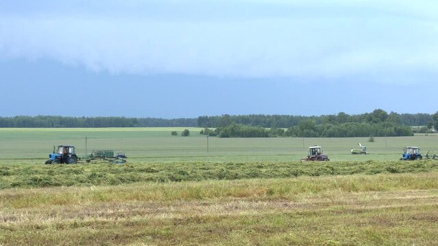 "Drying Hay" Images – Browse 180 Stock Photos, Vectors, and Video ...