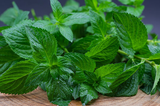 Minzen bilder – Bläddra bland 1,320 stockfoton, vektorer och videor ...