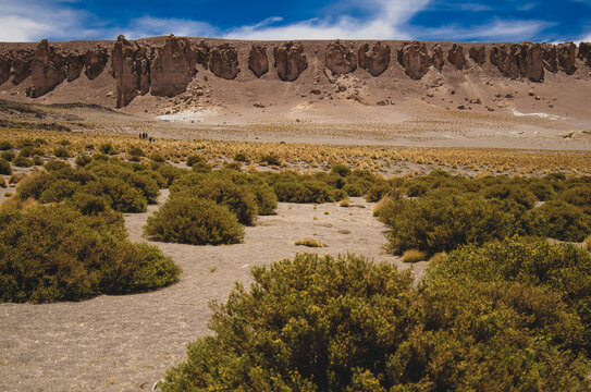 Chila Images – Browse 6,445 Stock Photos, Vectors, and Video | Adobe Stock