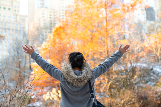 "Hand Rise"-Bilder: Stock-Fotos & -Videos. | Adobe Stock