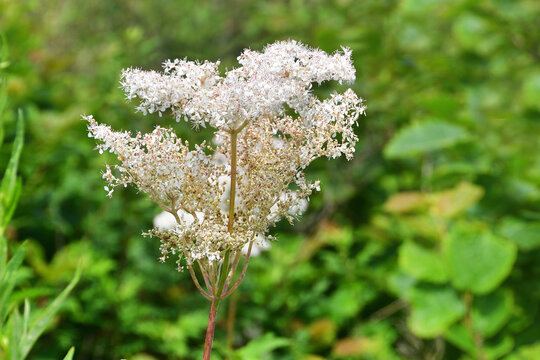 รูปภาพCyclopia – เลือกดูภาพถ่ายสต็อก เวกเตอร์ และวิดีโอ525 | Adobe Stock