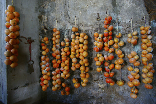 รูปภาพMoli – เลือกดูภาพถ่ายสต็อก เวกเตอร์ และวิดีโอ811 | Adobe Stock