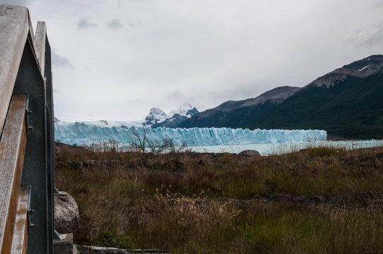 Imagens de Moren – Explore Fotografias do Stock, Vetores e Vídeos de 74 ...
