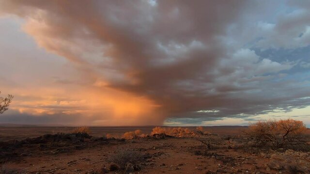 Dreamtime Images – Browse 1,847 Stock Photos, Vectors, and Video ...