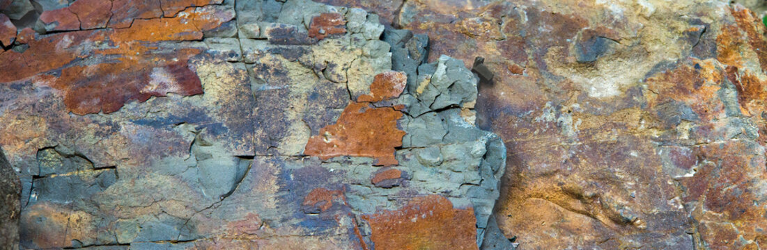 「Calcar」の画像 - 2,518 件の Stock 写真、ベクターおよびビデオ | Adobe Stock