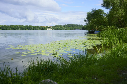 Alignment Nature Bilder – Durchsuchen 40,890 Archivfotos ...
