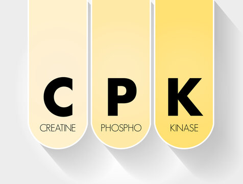 รูปภาพCpk – เลือกดูภาพถ่ายสต็อก เวกเตอร์ และวิดีโอ312 | Adobe Stock