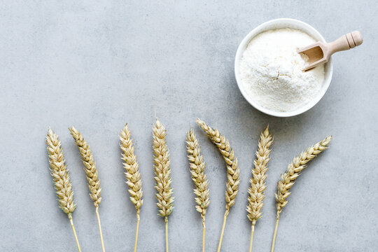 Imágenes de Mehl Icon: descubre bancos de fotos, ilustraciones ...