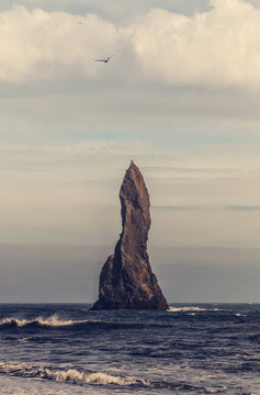 "Troll Toes" Images – Browse 186 Stock Photos, Vectors, and Video ...