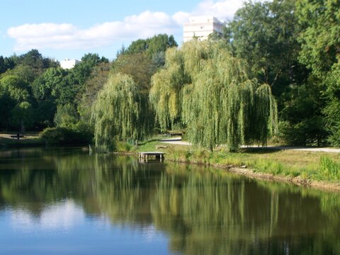 รูปภาพBassin – เลือกดูภาพถ่ายสต็อก เวกเตอร์ และวิดีโอ28,871 | Adobe Stock