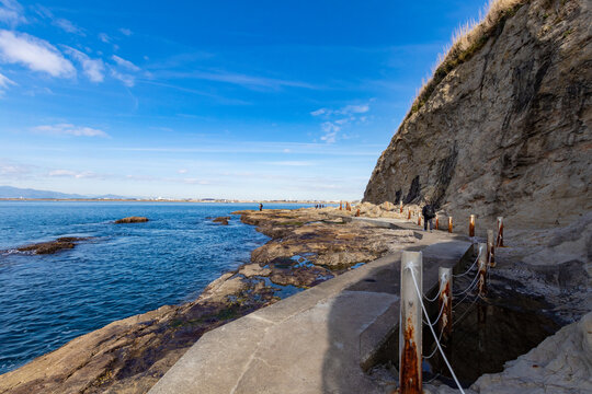 รูปภาพCatamite – เลือกดูภาพถ่ายสต็อก เวกเตอร์ และวิดีโอ1,098 | Adobe Stock