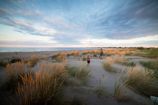 "Wild Beach" Bilder – Durchsuchen 7,502 Archivfotos, Vektorgrafiken und ...