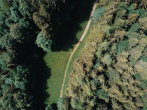 Crown Path Bilder – Durchsuchen 26,167 Archivfotos, Vektorgrafiken und ...