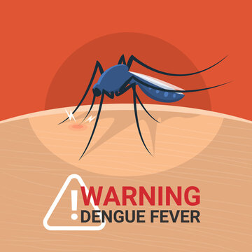 Infographic Dengue Images – Browse 437 Stock Photos, Vectors, and Video ...