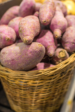 Kamote Images – Browse 48 Stock Photos, Vectors, and Video | Adobe Stock