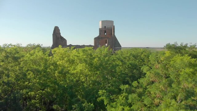 Araca Images – Browse 315 Stock Photos, Vectors, and Video | Adobe Stock