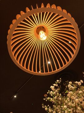 Irradiar 이미지 – 찾아보기 36 스톡 사진, 벡터 및 비디오 | Adobe Stock