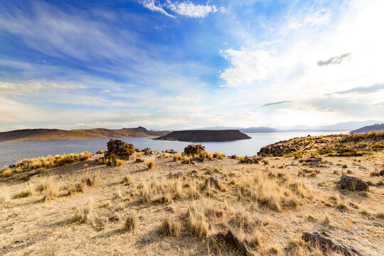 Kolla bilder – Bläddra bland 135 stockfoton, vektorer och videor ...