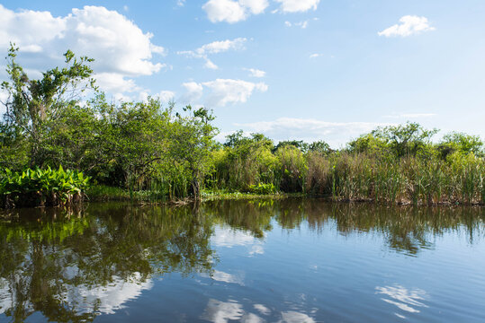 "Florida Background"-Bilder: Stock-Fotos & -Videos. | Adobe Stock