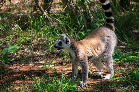 Redenering Bilder – Durchsuchen 617 Archivfotos, Vektorgrafiken und ...