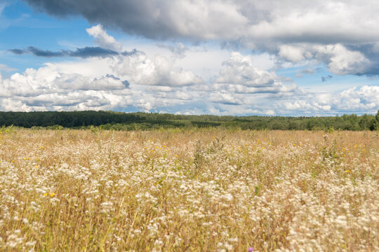 "Russian Plain" Images – Browse 32 Stock Photos, Vectors, and Video ...