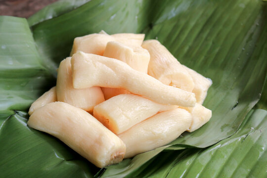 Imágenes de Tapay: descubre bancos de fotos, ilustraciones, vectores y ...