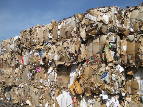 รูปภาพRecycler – เลือกดูภาพถ่ายสต็อก เวกเตอร์ และวิดีโอ12,034 | Adobe Stock