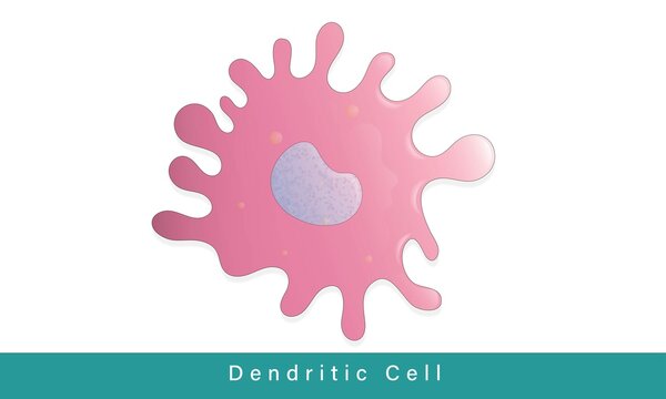 Dendritic Cell Cartoon