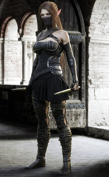 Anime Assassin Girl With Daggers