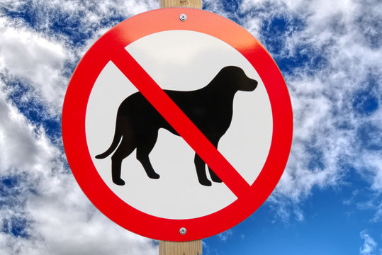 No Dogs Allowed Sign Vector