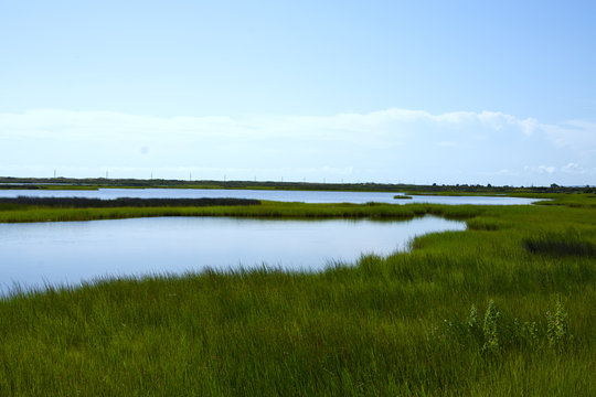 "Marsh Lands" Images – Browse 198 Stock Photos, Vectors, and Video ...