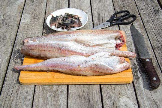 Mintai Images – Browse 44 Stock Photos, Vectors, and Video | Adobe Stock