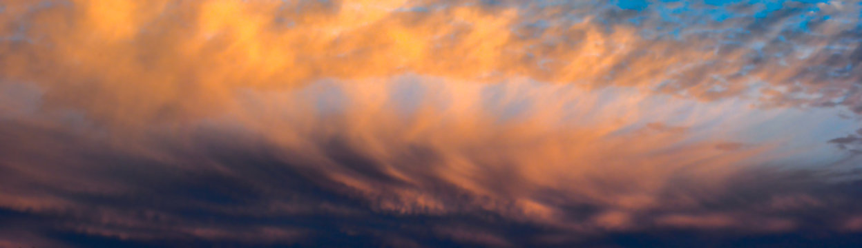 Afbeeldingen over "Wayne Grazio" – Blader in stockfoto's, vectoren en ...