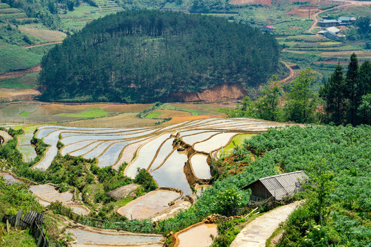 รูปภาพCai – เลือกดูภาพถ่ายสต็อก เวกเตอร์ และวิดีโอ49,320 | Adobe Stock