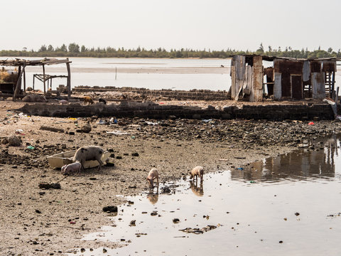 Pauperism Bilder – Durchsuchen 5,926 Archivfotos, Vektorgrafiken und ...