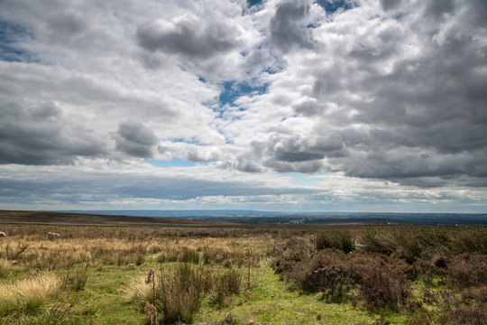 รูปภาพRyedale – เลือกดูภาพถ่ายสต็อก เวกเตอร์ และวิดีโอ191 | Adobe Stock