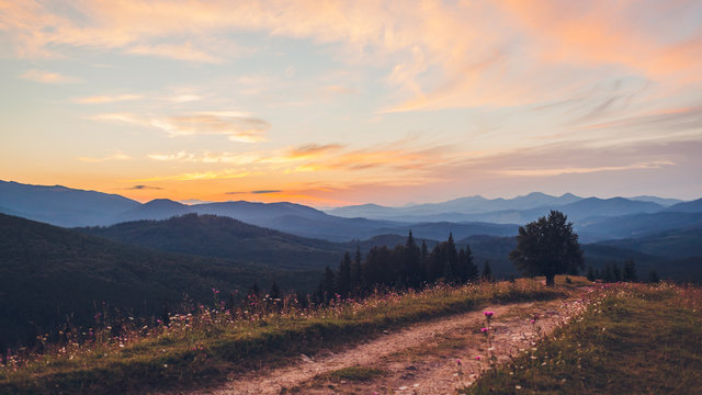 Swartberge Bilder – Durchsuchen 3,073 Archivfotos, Vektorgrafiken und ...