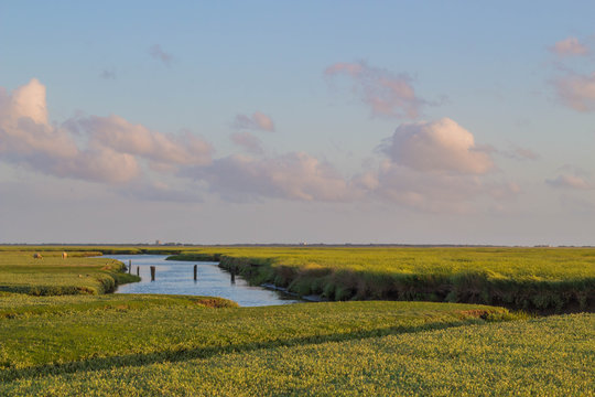 Dithmarschen Bilder – Durchsuchen 1,192 Archivfotos, Vektorgrafiken und ...