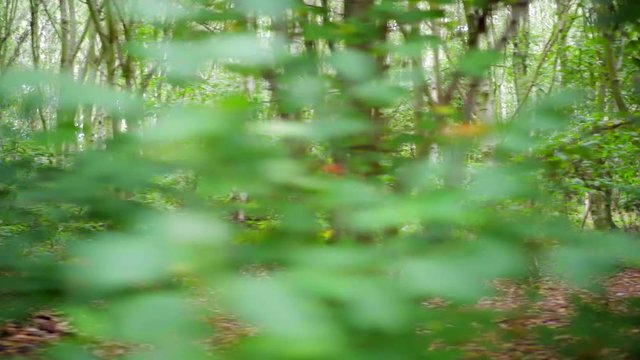 "Quick Movement" Images – Browse 26 Stock Photos, Vectors, and Video ...