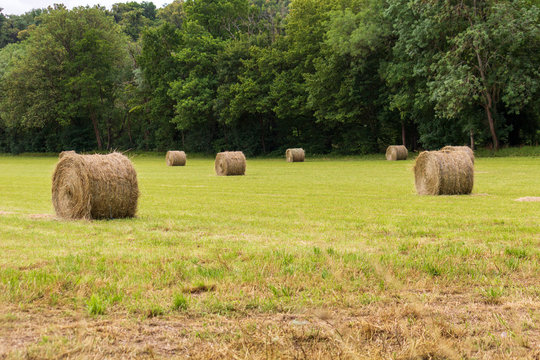 รูปภาพFoin – เลือกดูภาพถ่ายสต็อก เวกเตอร์ และวิดีโอ8,222 | Adobe Stock