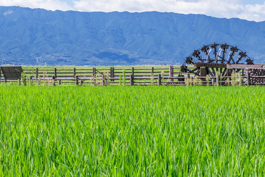 連 Images – Browse 989 Stock Photos, Vectors, and Video | Adobe Stock