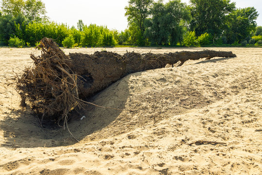 Reingefallen Bilder – Durchsuchen 1,718 Archivfotos, Vektorgrafiken und ...