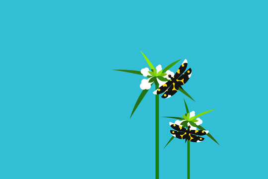 Imágenes de Thumba: descubre bancos de fotos, ilustraciones, vectores y ...