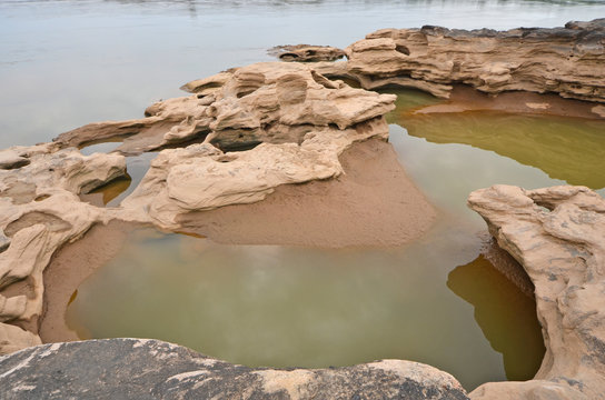 รูปภาพPleach – เลือกดูภาพถ่ายสต็อก เวกเตอร์ และวิดีโอ11,040 | Adobe Stock