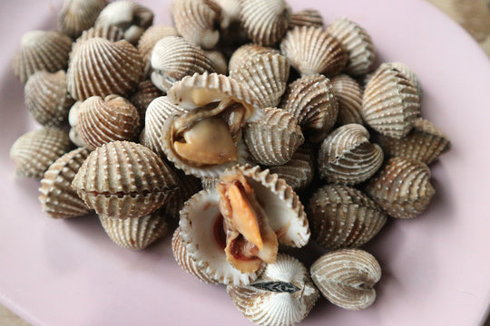 Krang Images – Browse 522 Stock Photos, Vectors, and Video | Adobe Stock