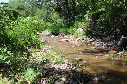 「Arrollo」の写真素材 | 159件の無料イラスト画像 | Adobe Stock
