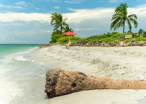 Captiva Images – Browse 731 Stock Photos, Vectors, and Video | Adobe Stock
